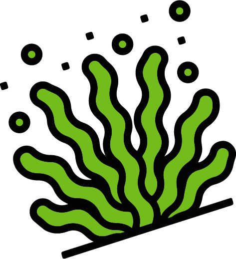 Ocean Workshop | Clever Carbon